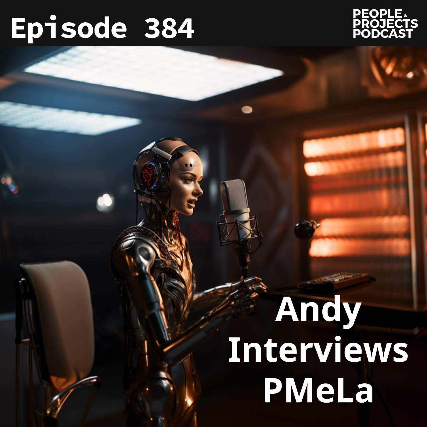PPP 384 | Andy Interviews an AI: Introducing PMeLa – People and ...