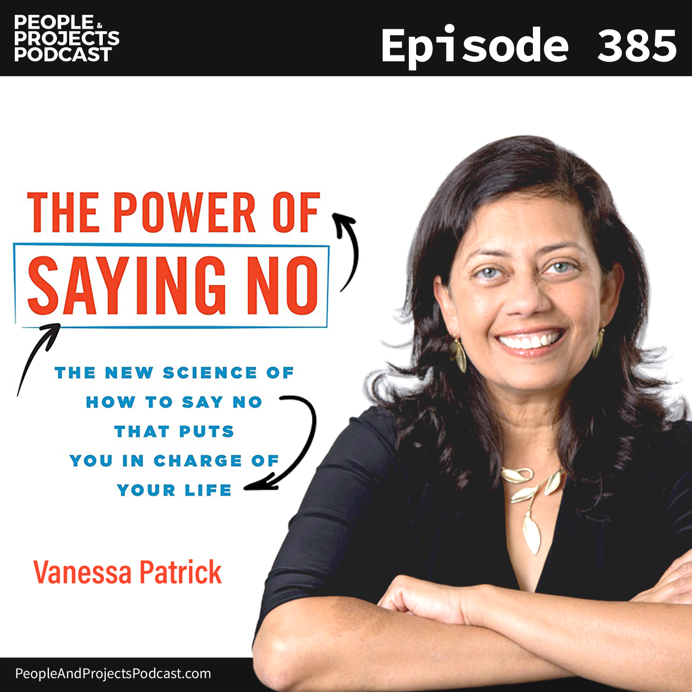 PPP 385 | How to Say No When You Feel Like You Have to Say Yes, with author Vanessa Patrick ...