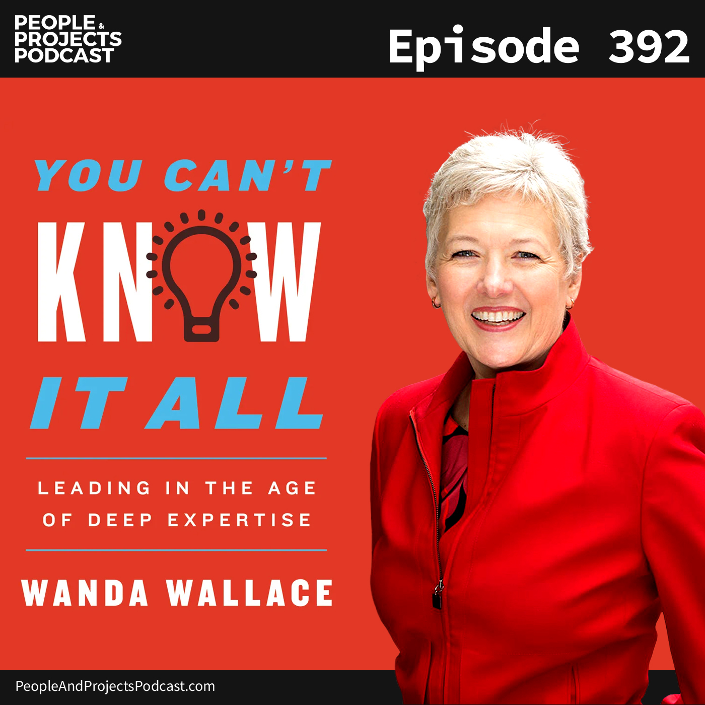 PPP 392 | Leading When You Can’t Know It All, with Wanda T. Wallace ...