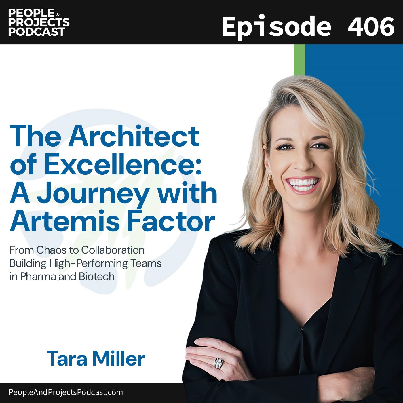PPP 406 | How to Successfully Lead Teams and Deliver Projects: Career ...